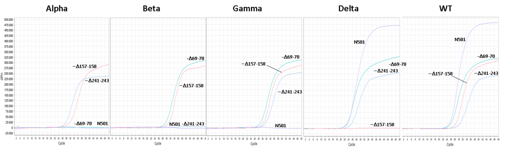 Single qPCR for all SARS-CoV-2 VoCAlpha, Beta, Gamma, Delta