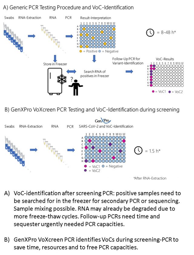 VoC-Identification_PCR_comparison VoXcreen-X-Generic_SARS-CoV-2_GenXPro ...