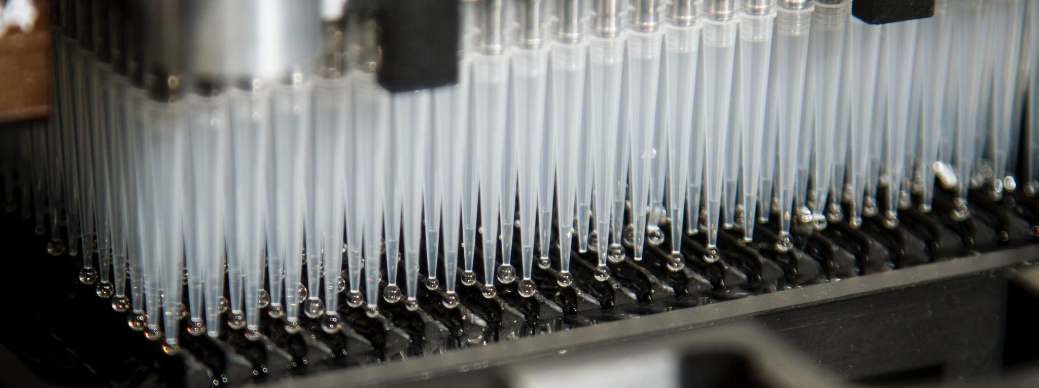 NGS-Solutions for Research & Health - GenXPro